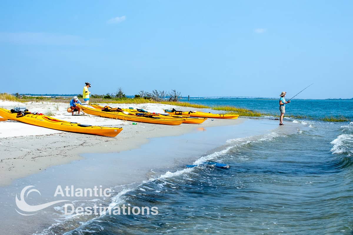 Crystal Coast ecotours: 9 unforgettable kayak trips & nature escapes ...